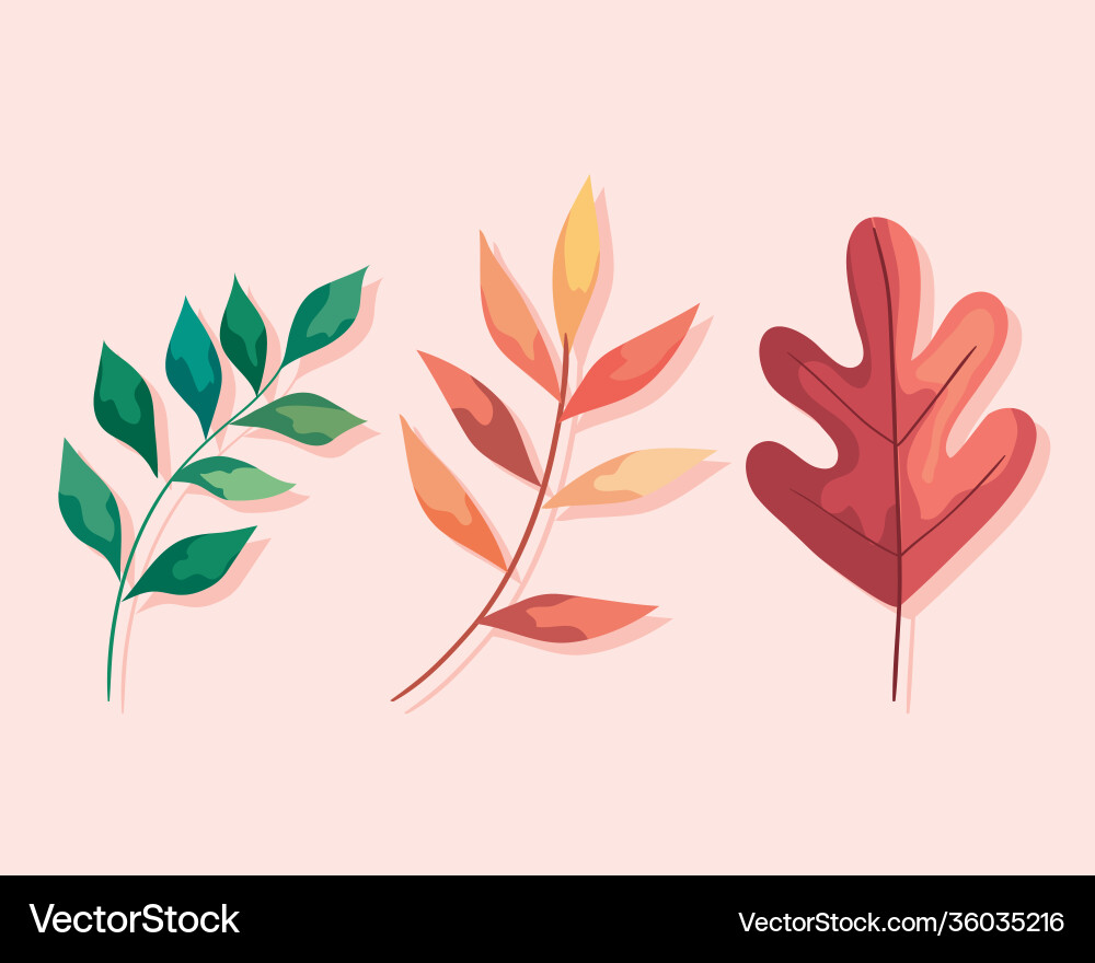 Autumn branch with leafs plants foliage Royalty Free Vector