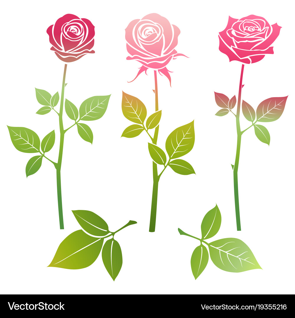 Bright spring roses flowers silhouette Royalty Free Vector