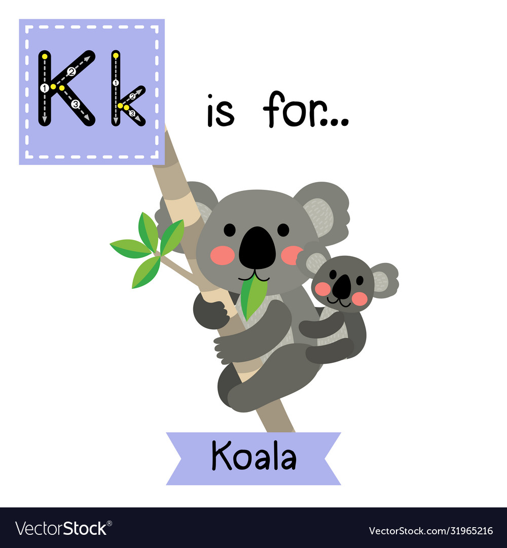 Letter k tracing koala bear and baby Royalty Free Vector