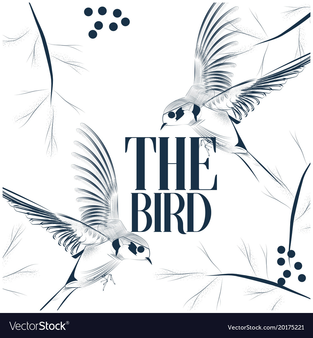 Bird martin background image Royalty Free Vector Image