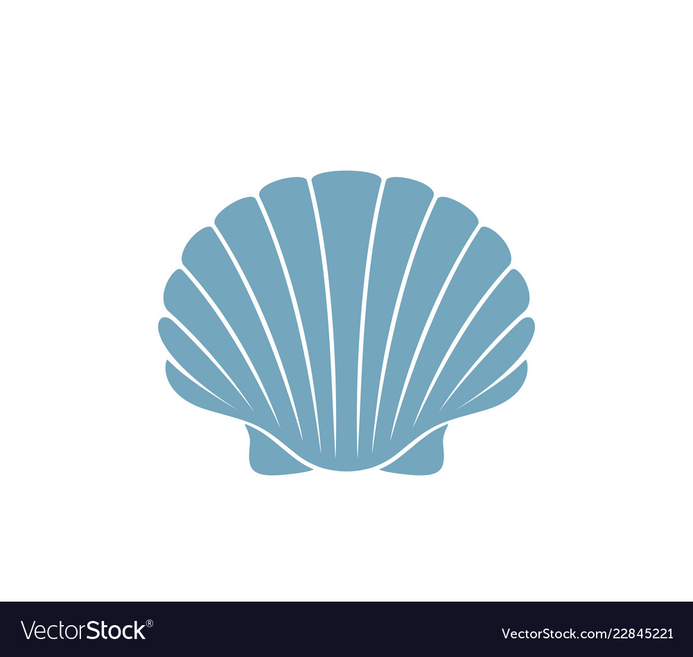 Scallop Royalty Free Vector Image - VectorStock