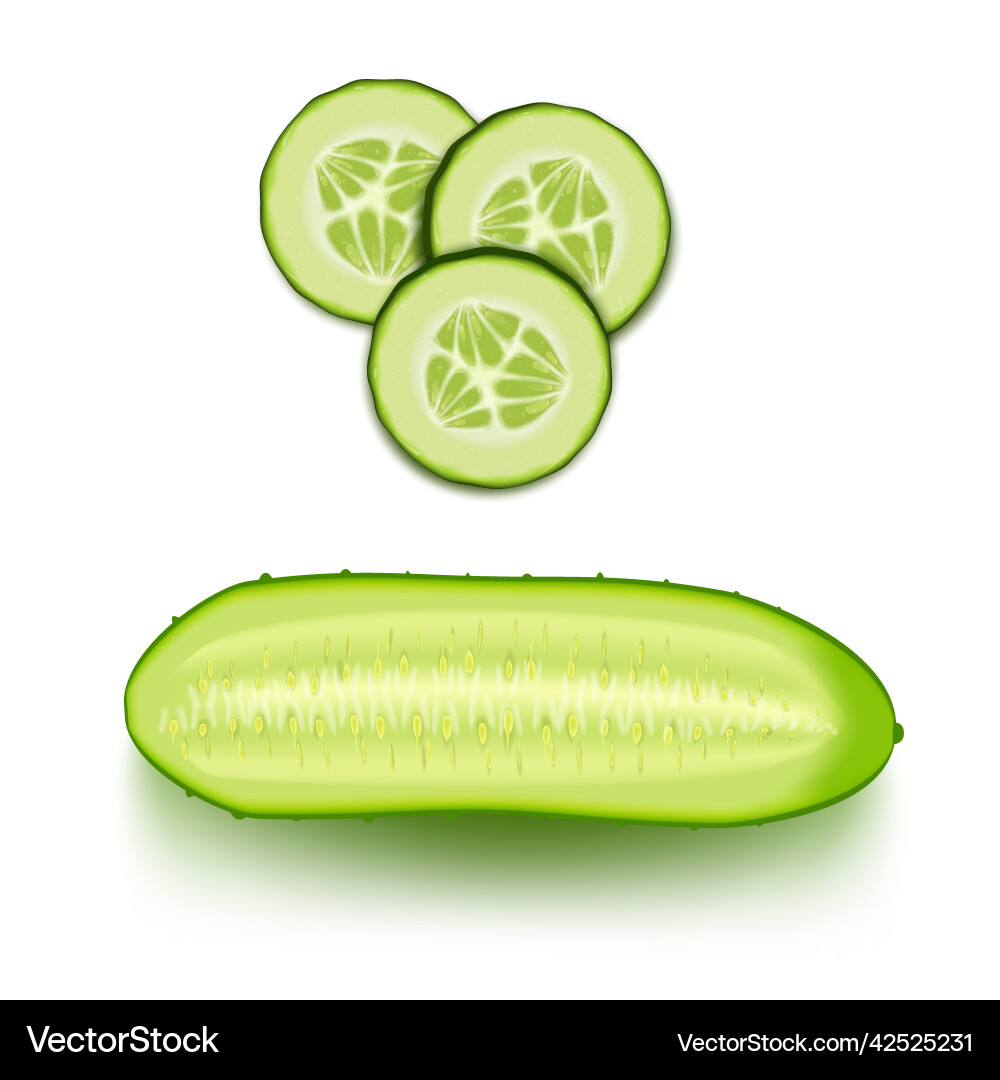 Lengthwise and across sliced cucumber top view Vector Image