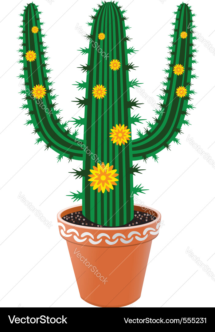 Pot cactus Royalty Free Vector Image - VectorStock