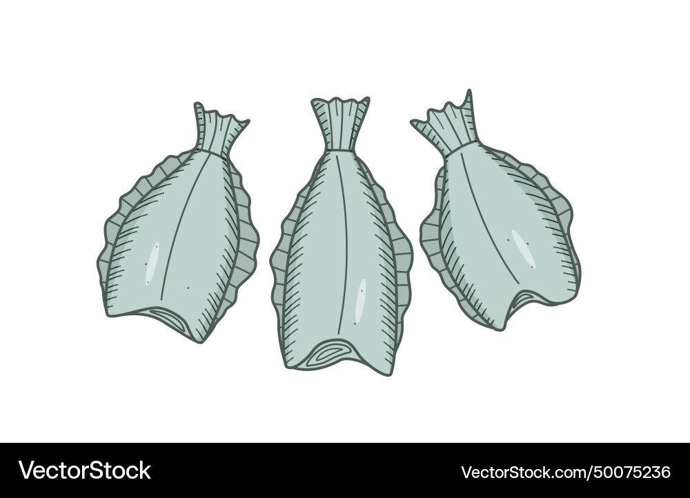 Halibut set drawing doodle of a headless fish Vector Image