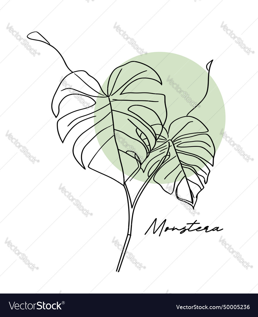 Monstera continuous line drawing Royalty Free Vector Image