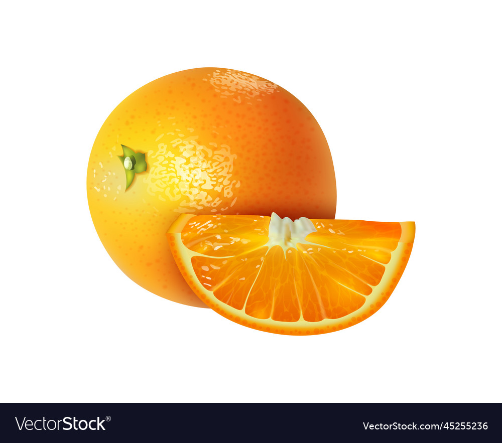 Realistic orange Royalty Free Vector Image - VectorStock