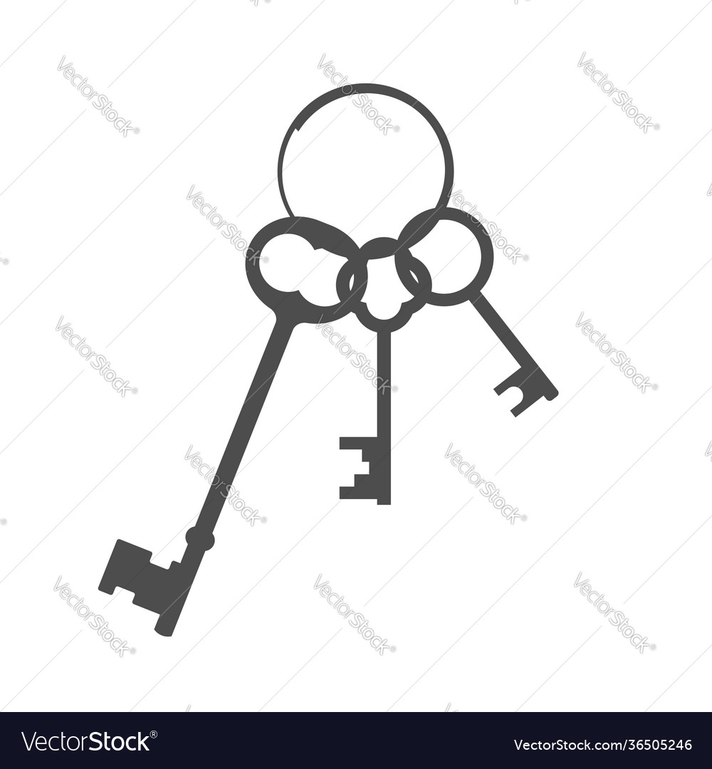 A bunch keys flat Royalty Free Vector Image - VectorStock