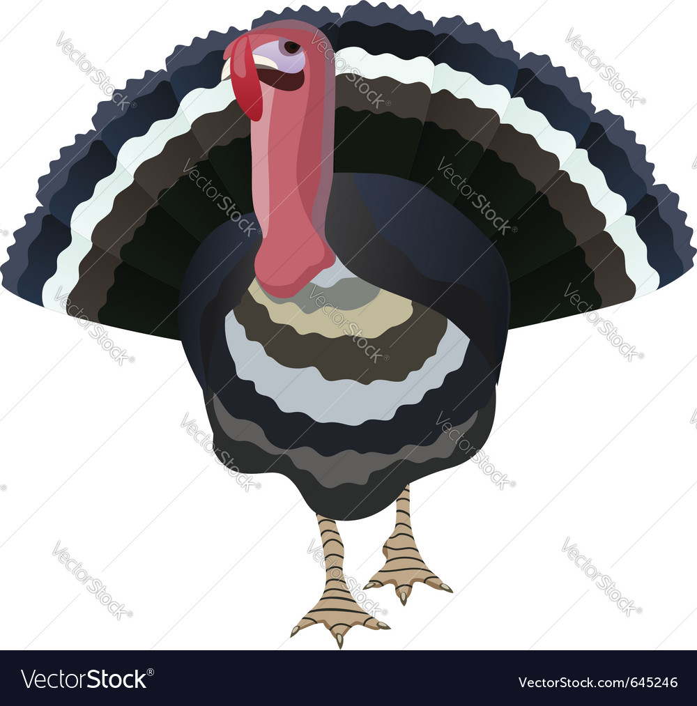 Turkey Royalty Free Vector Image - VectorStock