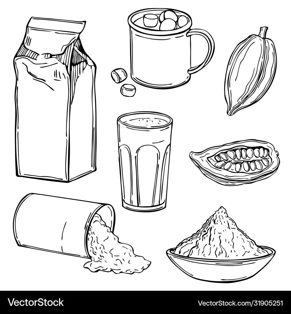 Cocoa powder and drink sketch Royalty Free Vector Image