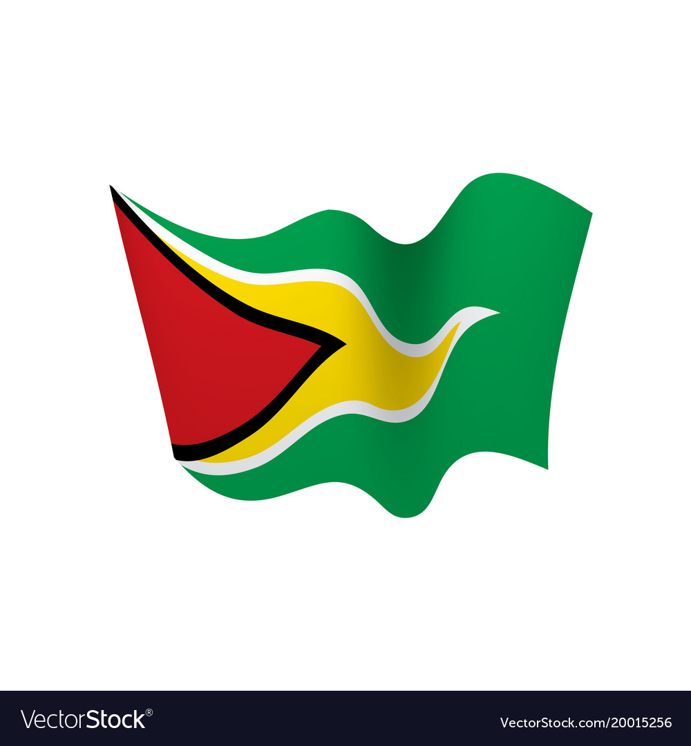 Guyana flag Royalty Free Vector Image - VectorStock