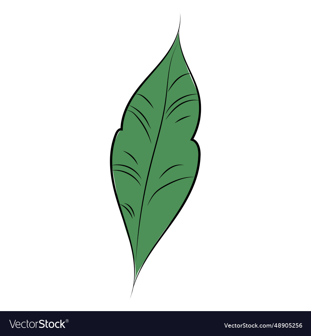 Leaf simple flat Royalty Free Vector Image - VectorStock