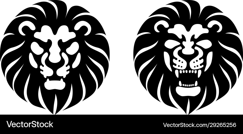 Lion Front View