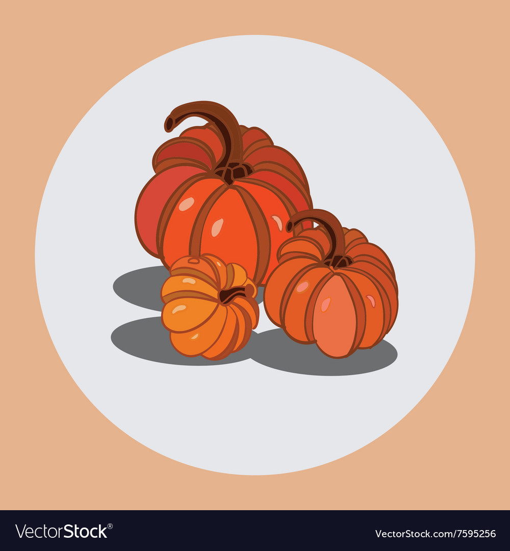 Pumpkin Royalty Free Vector Image - VectorStock