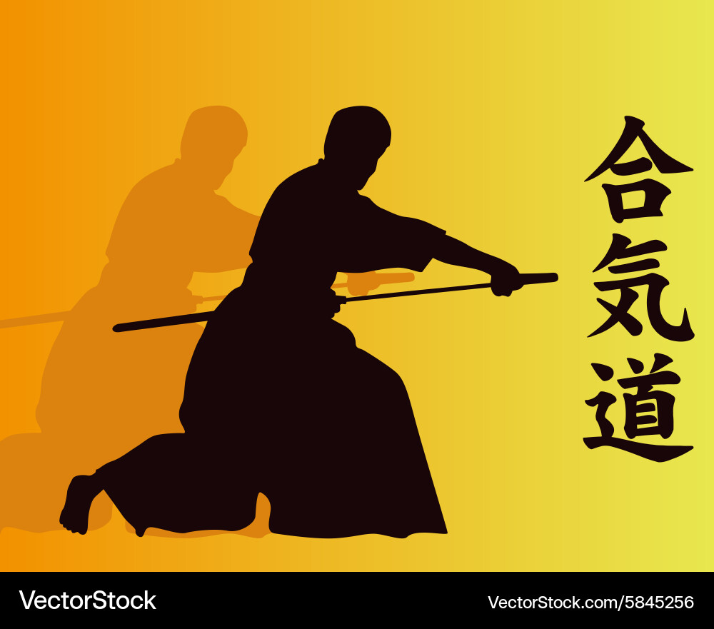 Two men show aikido Royalty Free Vector Image - VectorStock