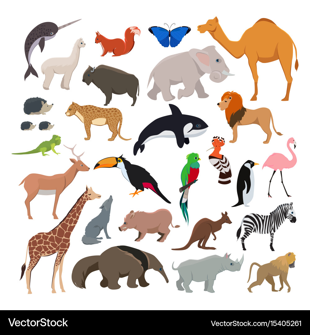 Big set with wild cute animals isolate Royalty Free Vector