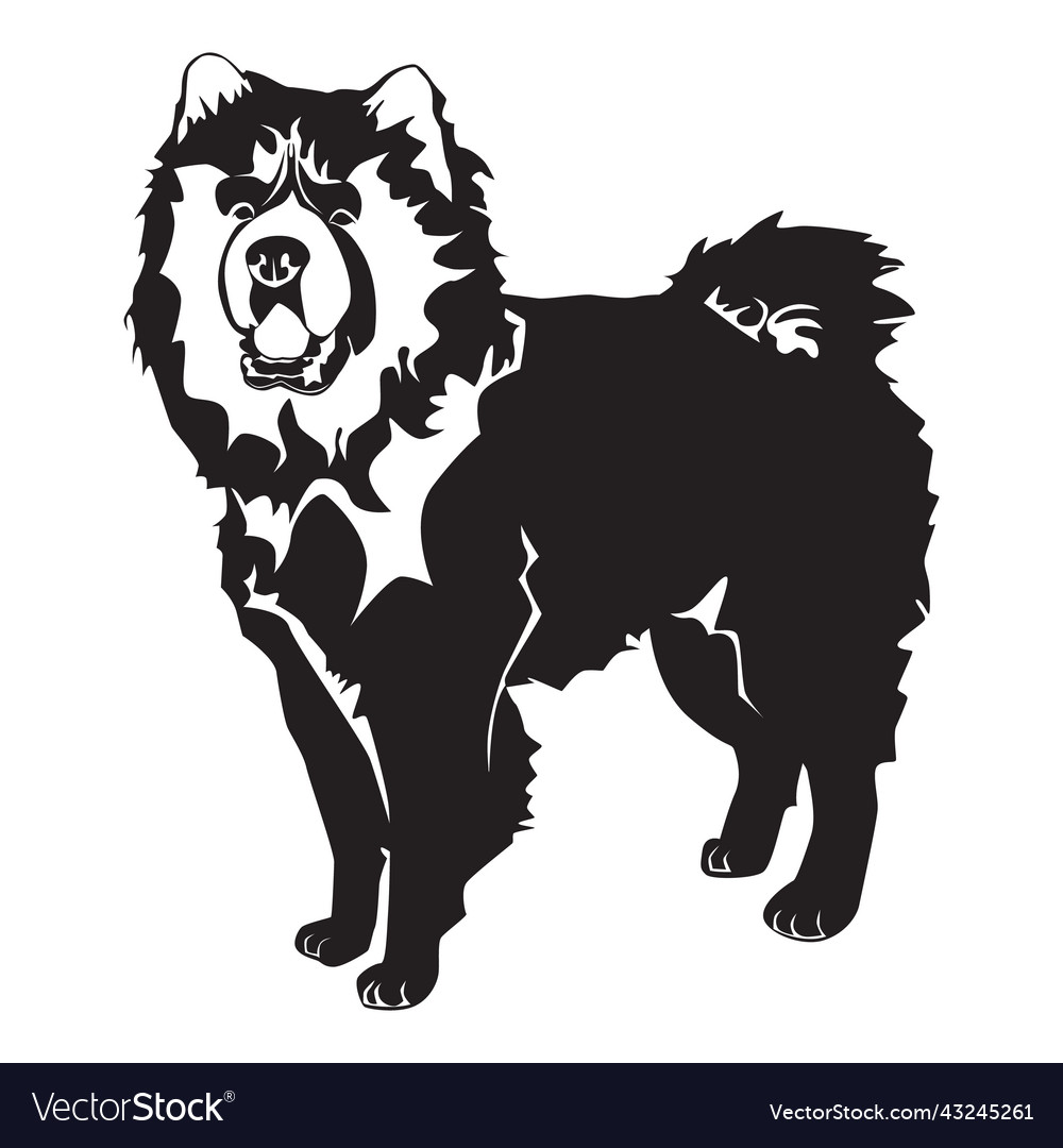 Chow dog black silhouette Royalty Free Vector Image Chow dog black silhouette Royalty Free Vector Image