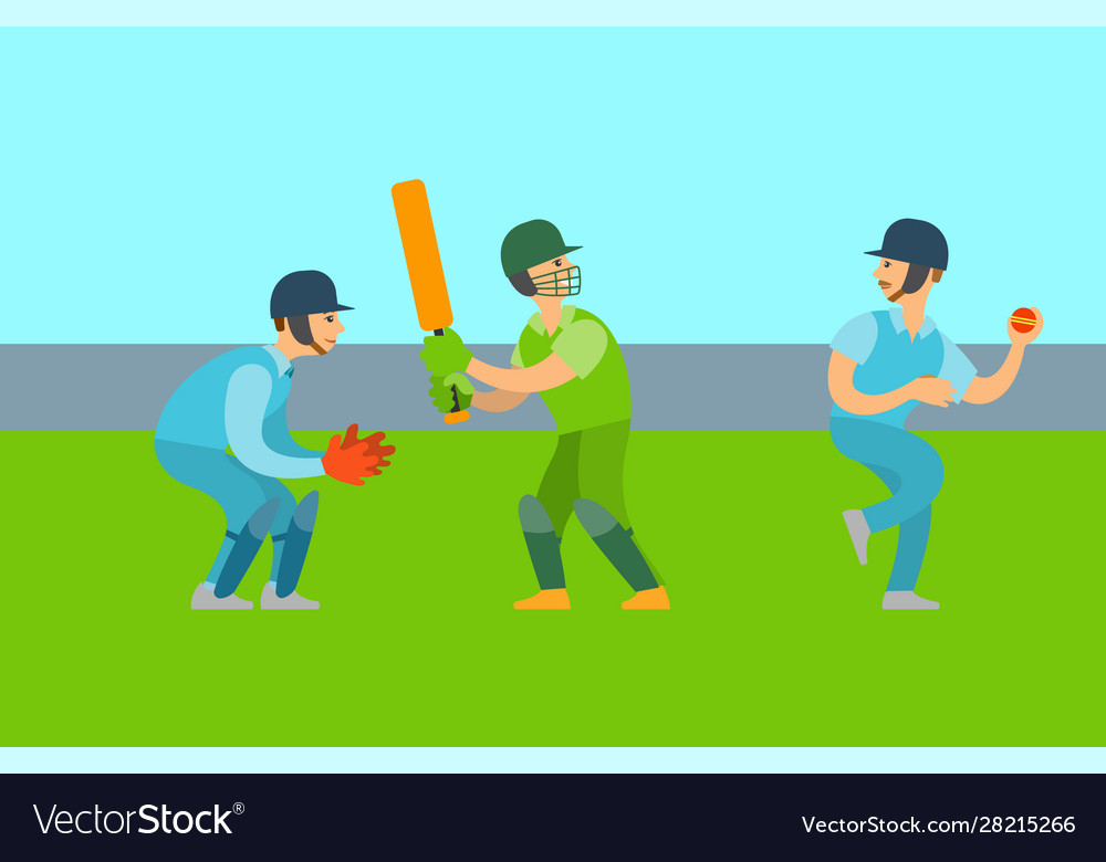Men playing cricket ball and bat equipment Vector Image