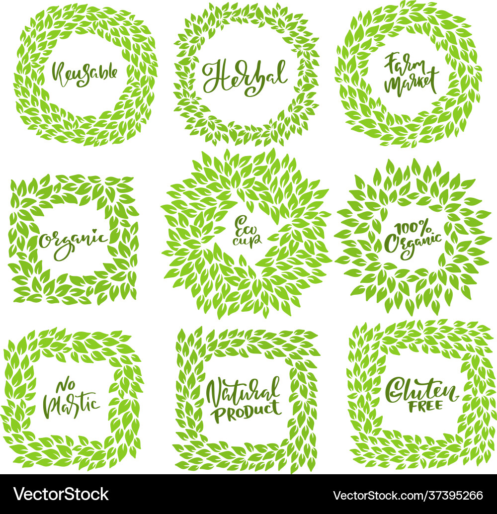Set ecology green leaves frames eco style Vector Image
