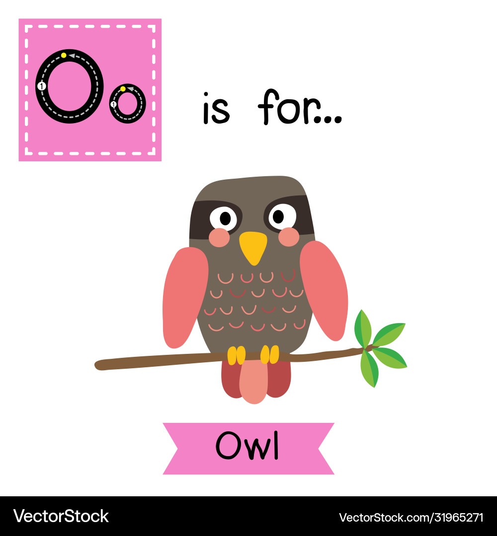 Letter o tracing pink owl bird Royalty Free Vector Image