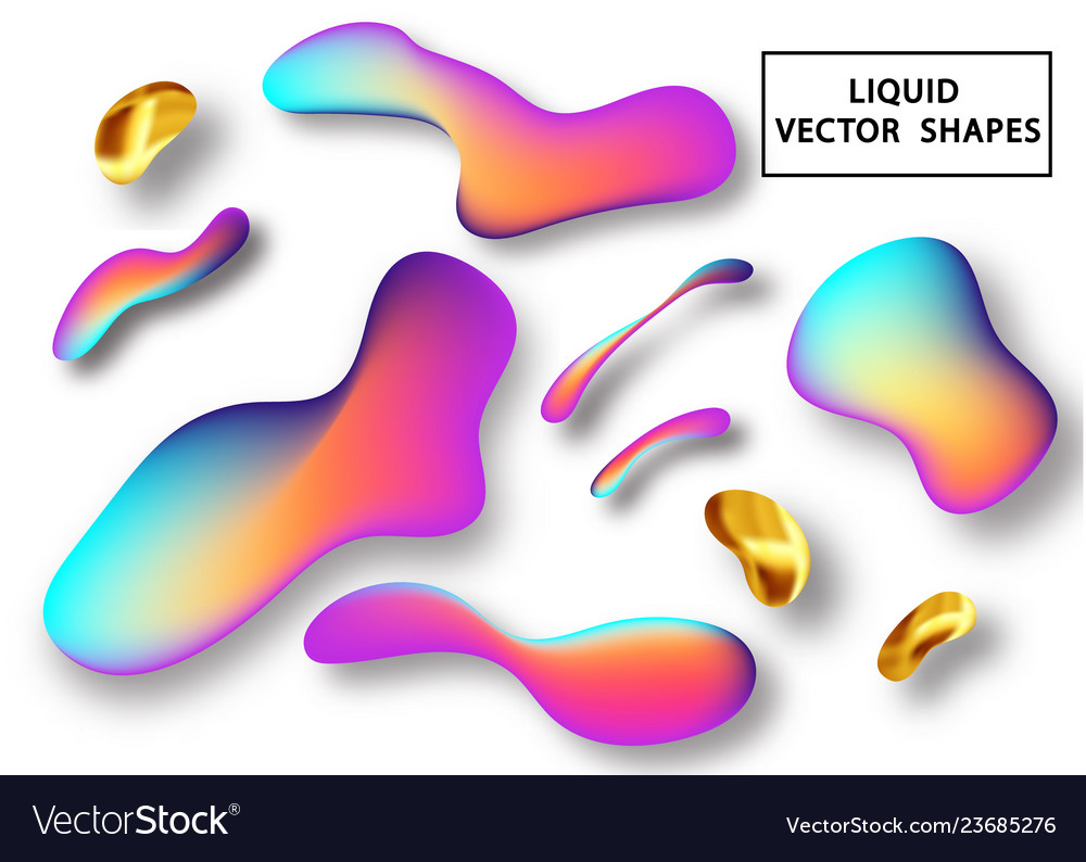 Fluid shape layout isolated template Royalty Free Vector
