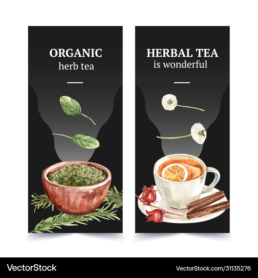 Herbal tea flyer design with basil rosemary Vector Image