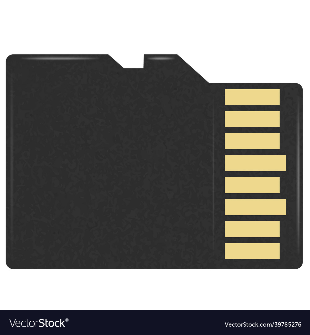 Memory microsd card Royalty Free Vector Image - VectorStock