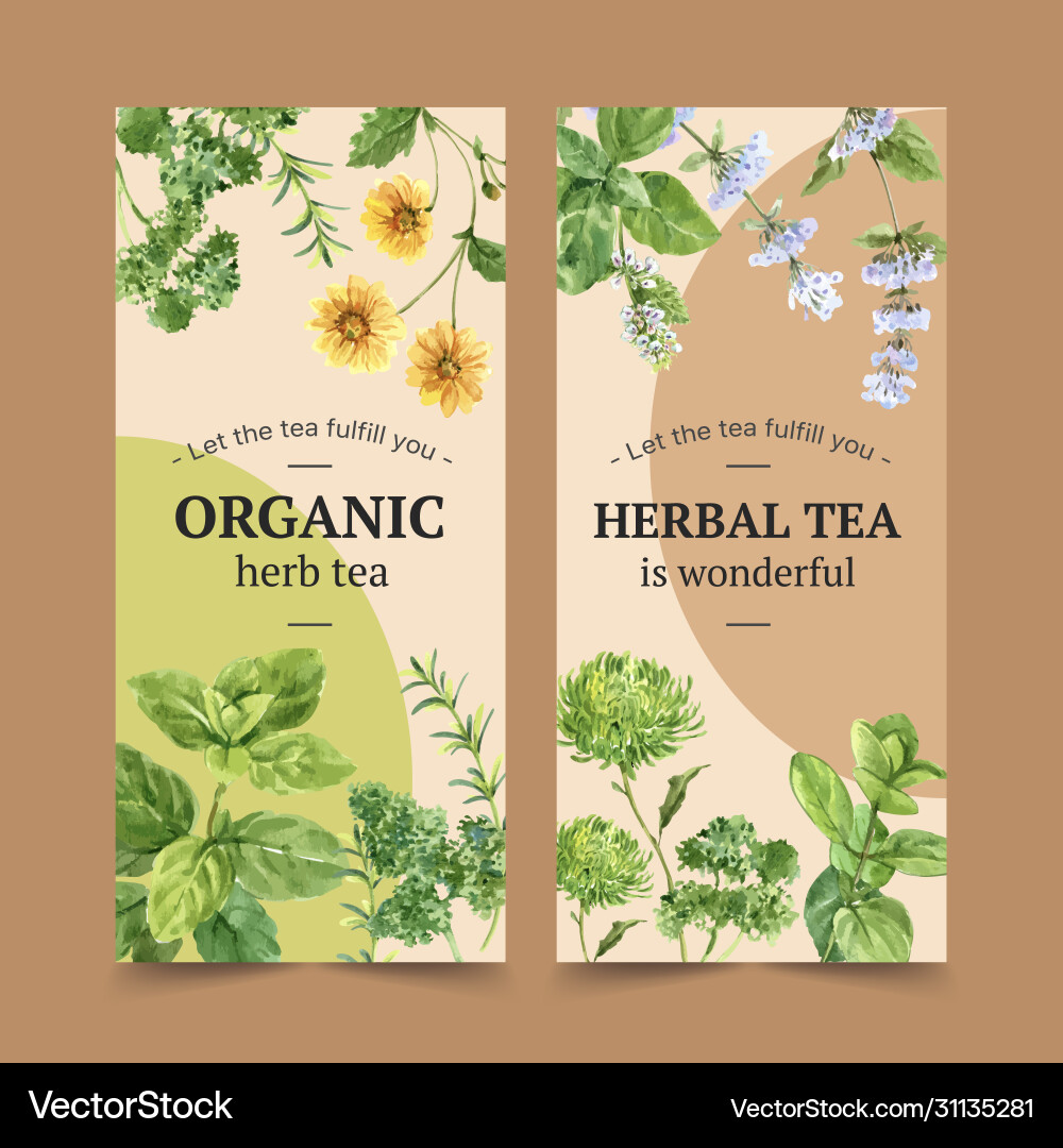 Herbal tea flyer design with savory parsley Vector Image