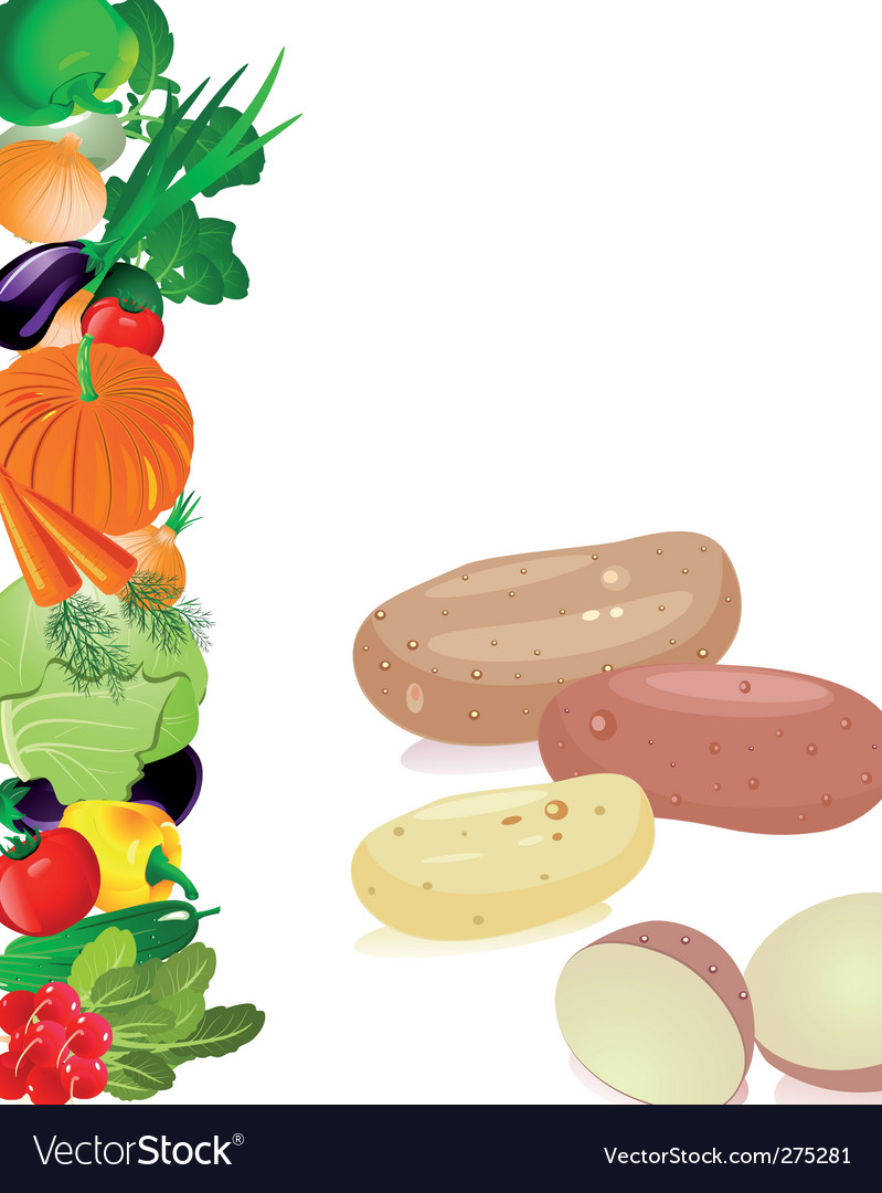 Potatoes Royalty Free Vector Image - VectorStock