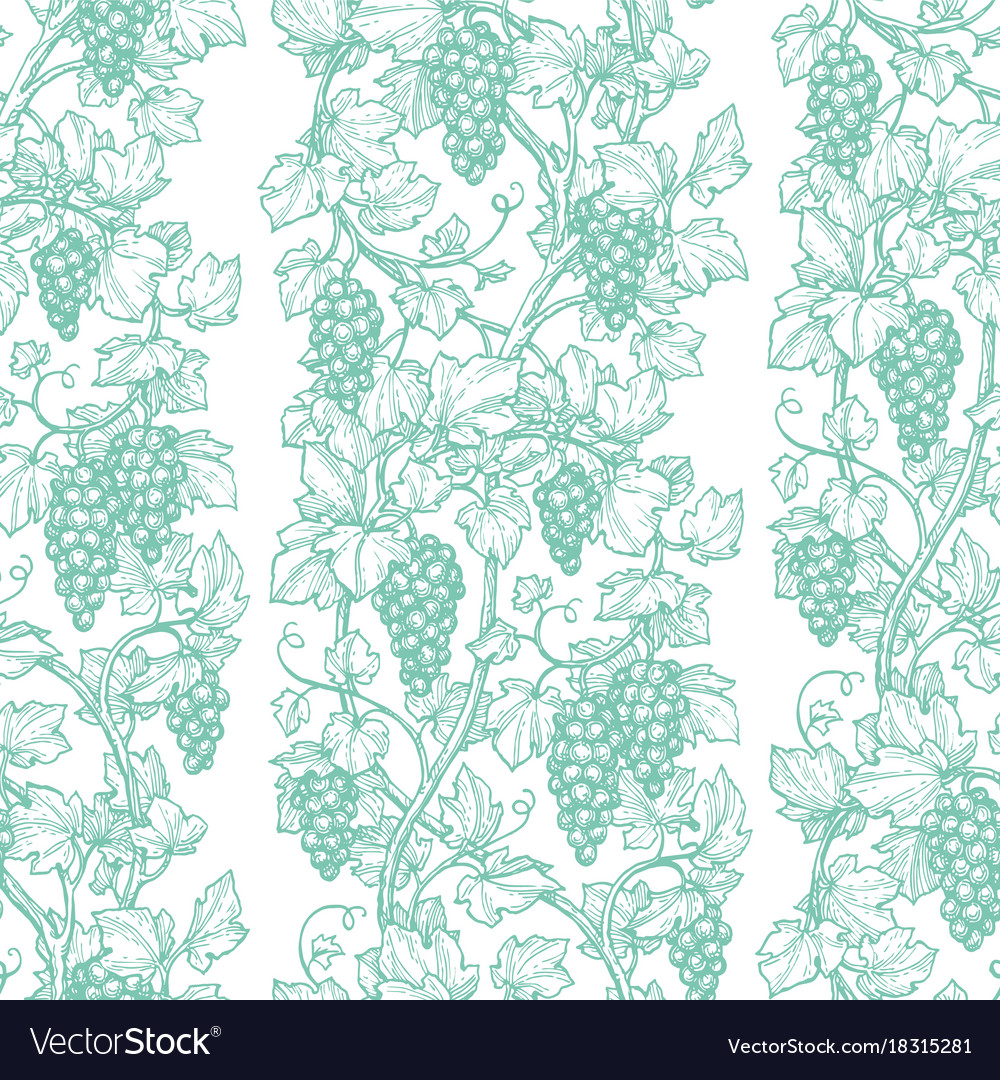 Seamless pattern with grape vine Royalty Free Vector Image