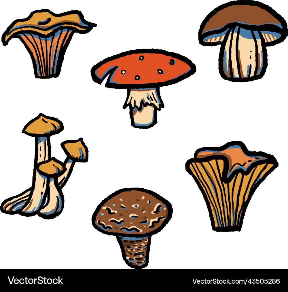 Mushrooms Royalty Free Vector Image - VectorStock