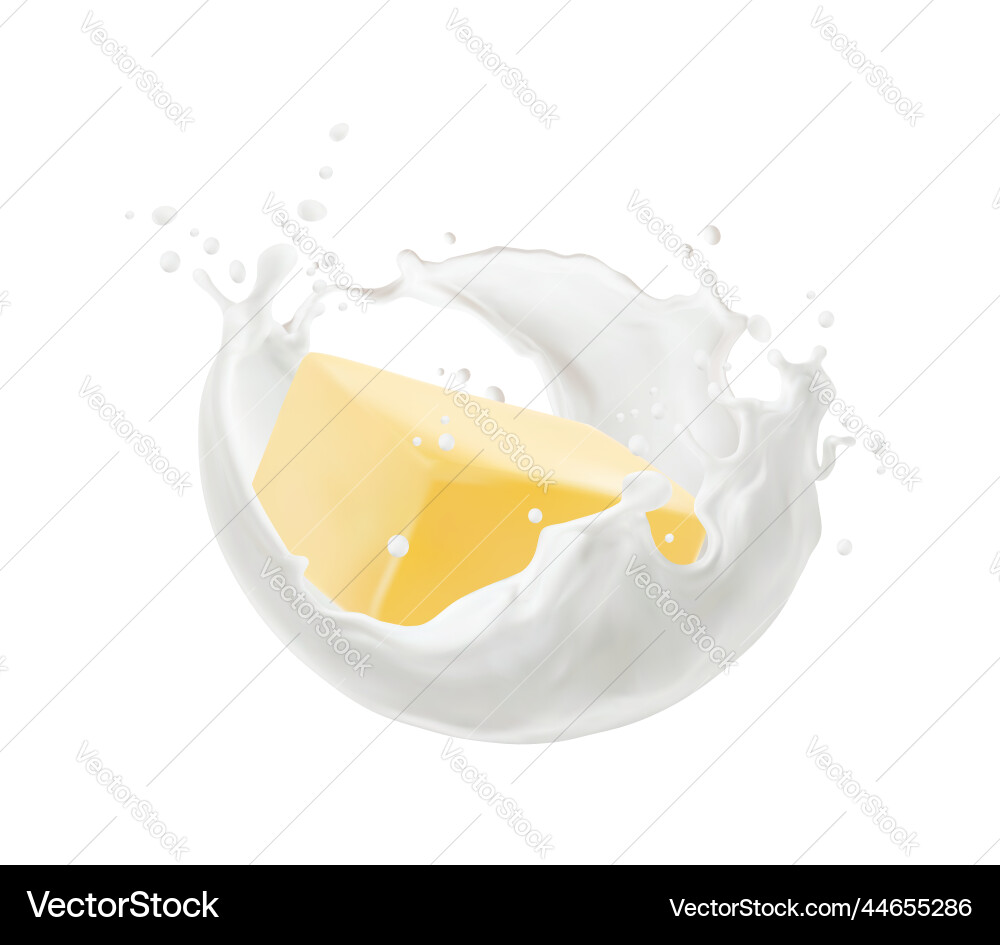 Realistic butter and milk splash 3d design Vector Image