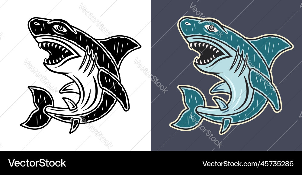 Shark in two styles monochrome on white Royalty Free Vector