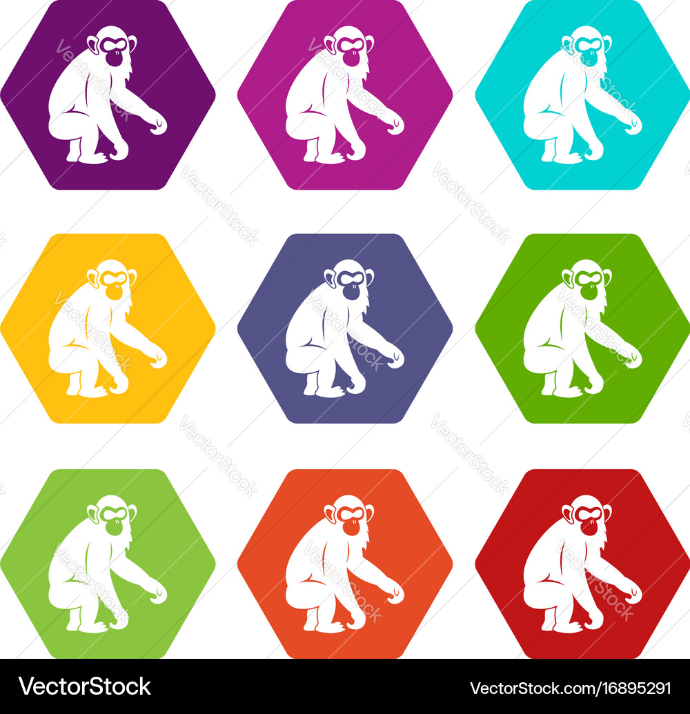 Macaque icon set color hexahedron Royalty Free Vector Image