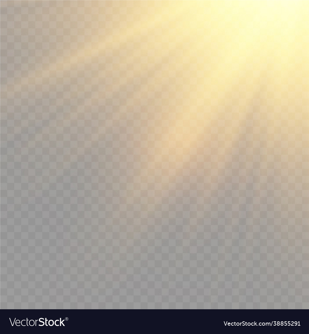 Sunlight with bright explosion rays light Vector Image