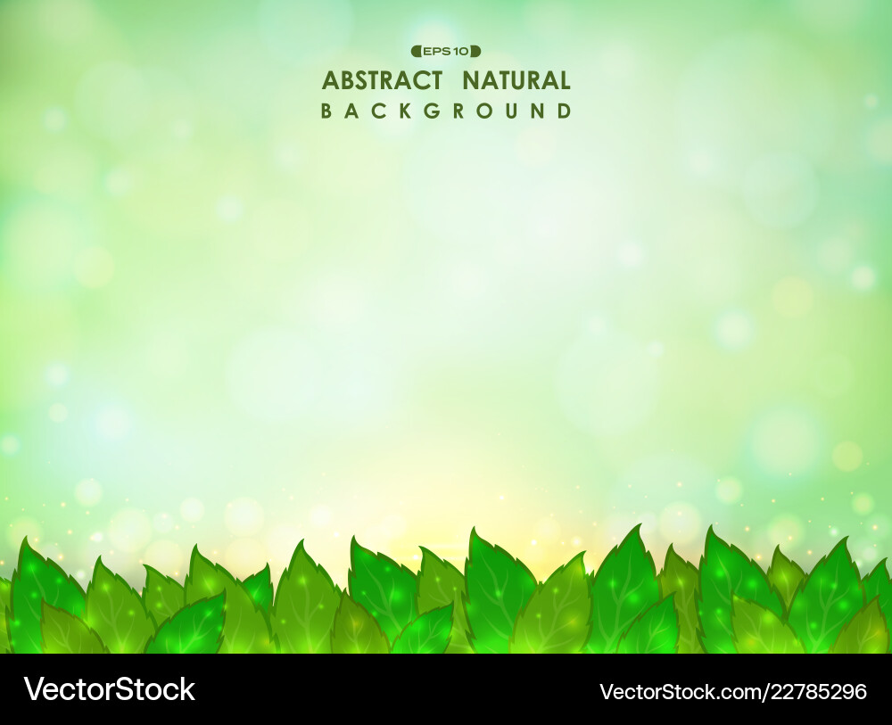 Abstract green natural leaves background Vector Image