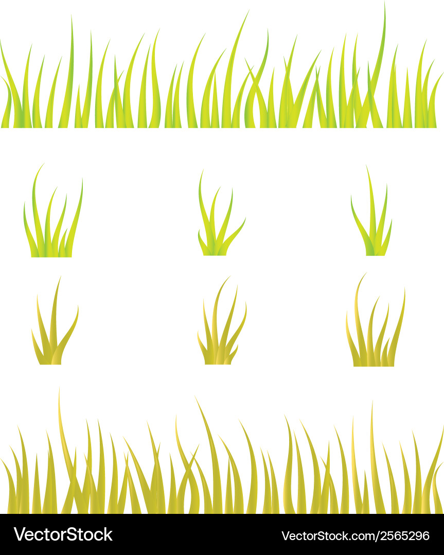 Collection grass templates - green and yellow Vector Image