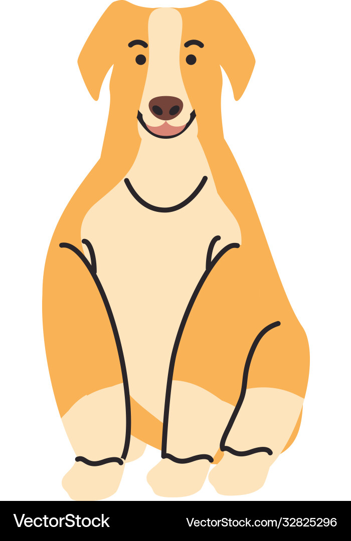Cute pet dog on white background Royalty Free Vector Image