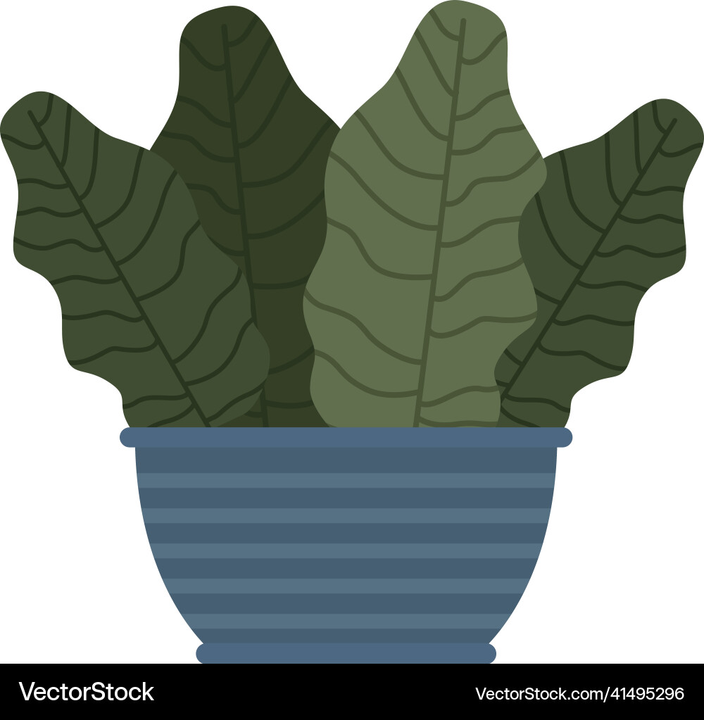 Houseplant in blue pot Royalty Free Vector Image