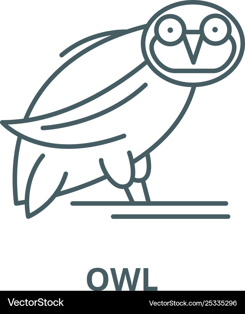 Owl line icon linear concept outline sign Vector Image