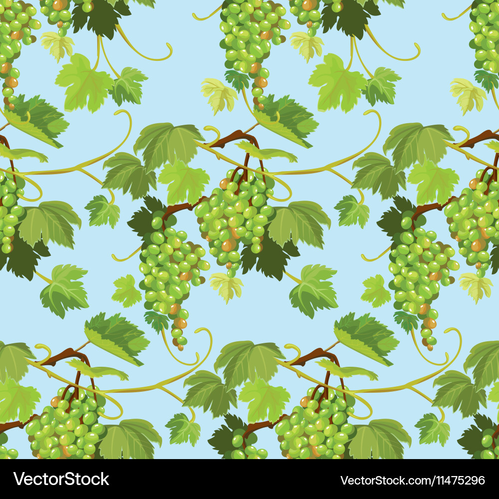 Seamless pattern with green grapes and leaves on Vector Image