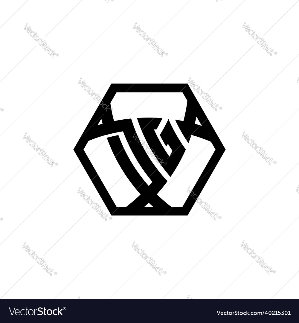 Dg logo monogram triangle shield hexagonal style Vector Image