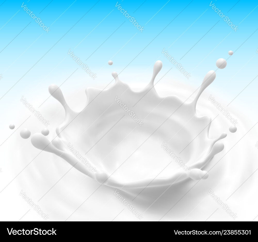 Milk splash with drops and ripple natural dairy Vector Image