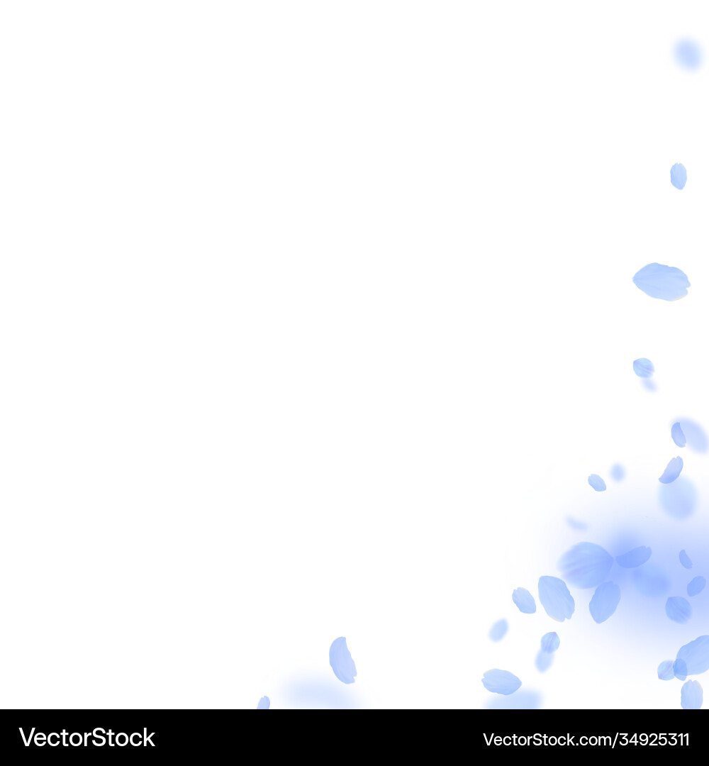 Dark blue flower petals falling down unique roman Vector Image