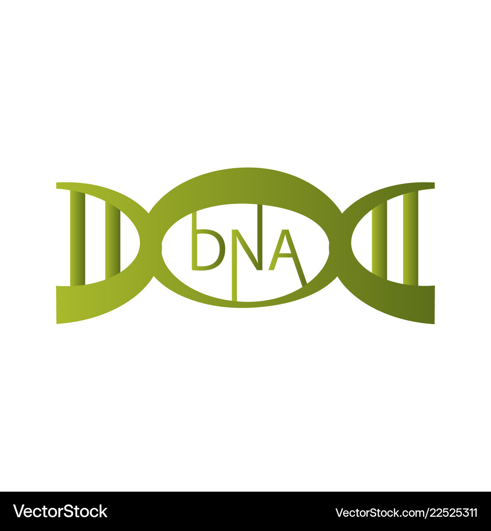 Dna genetic sign elements and icons collection Vector Image