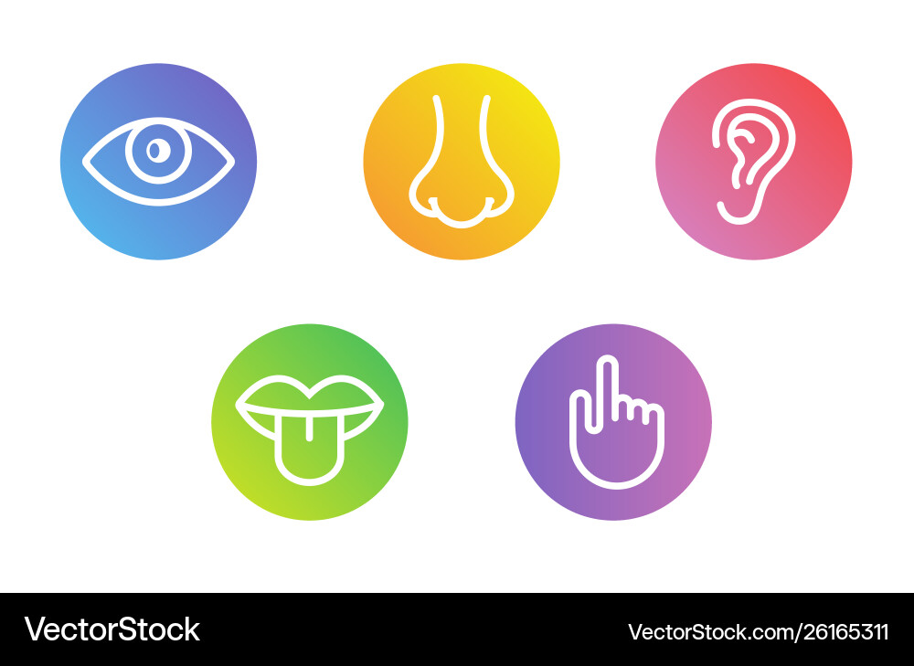 Five human senses vision eye smell nose hearing Vector Image