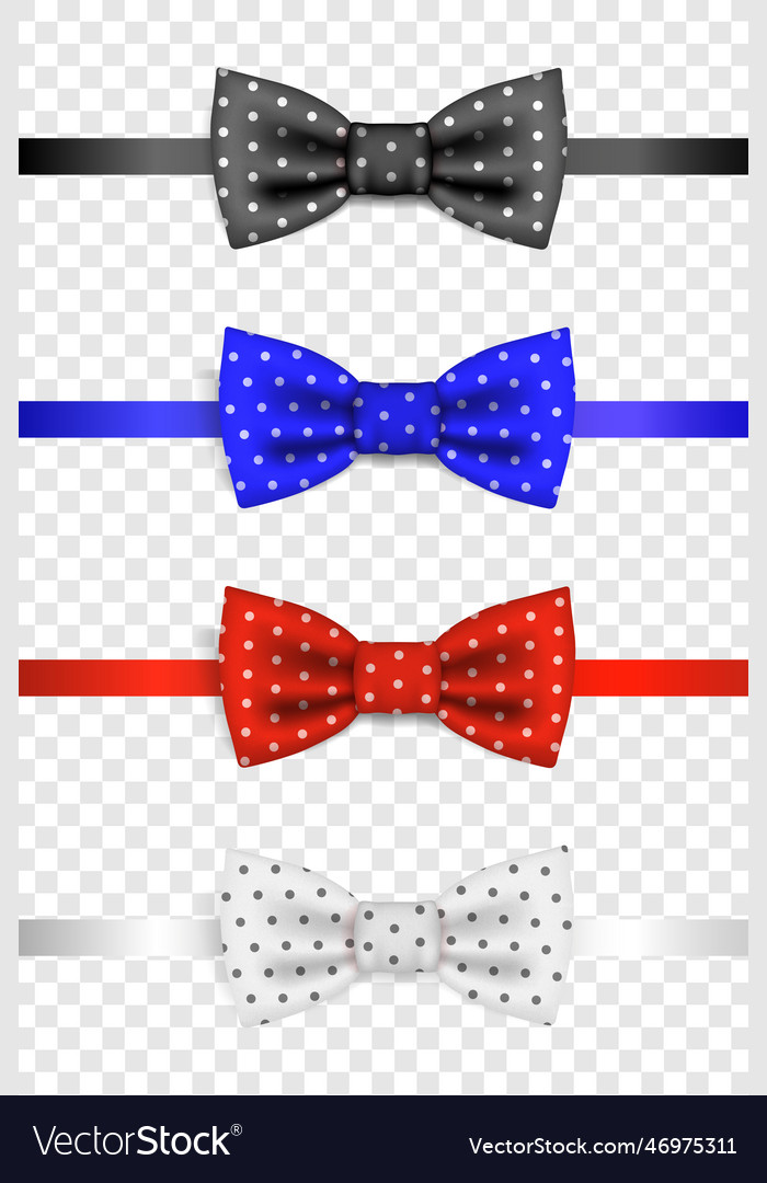 Realistic set of textured bow tie close-up Vector Image