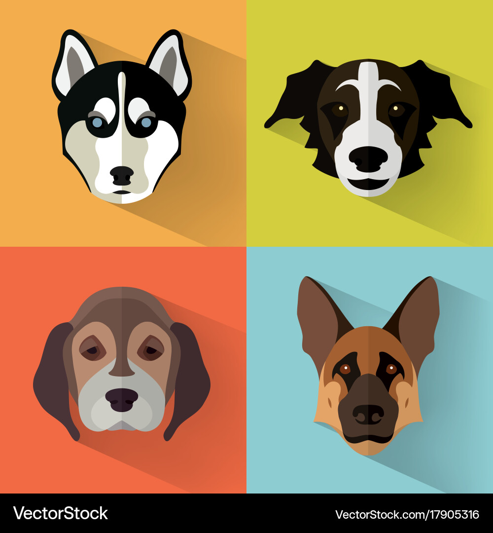 Dog portraits with flat design Royalty Free Vector Image