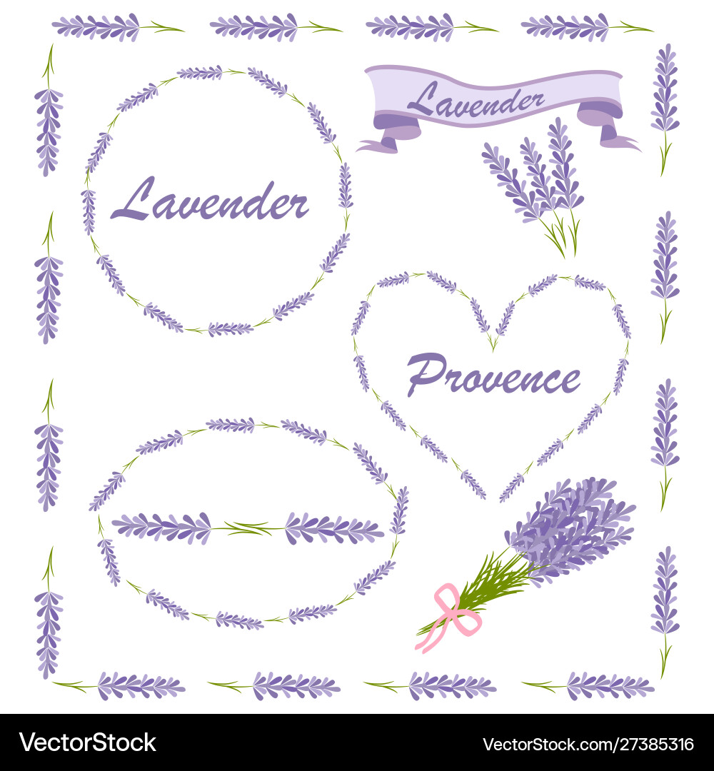 Floral elements for logo or decor lavender icons Vector Image