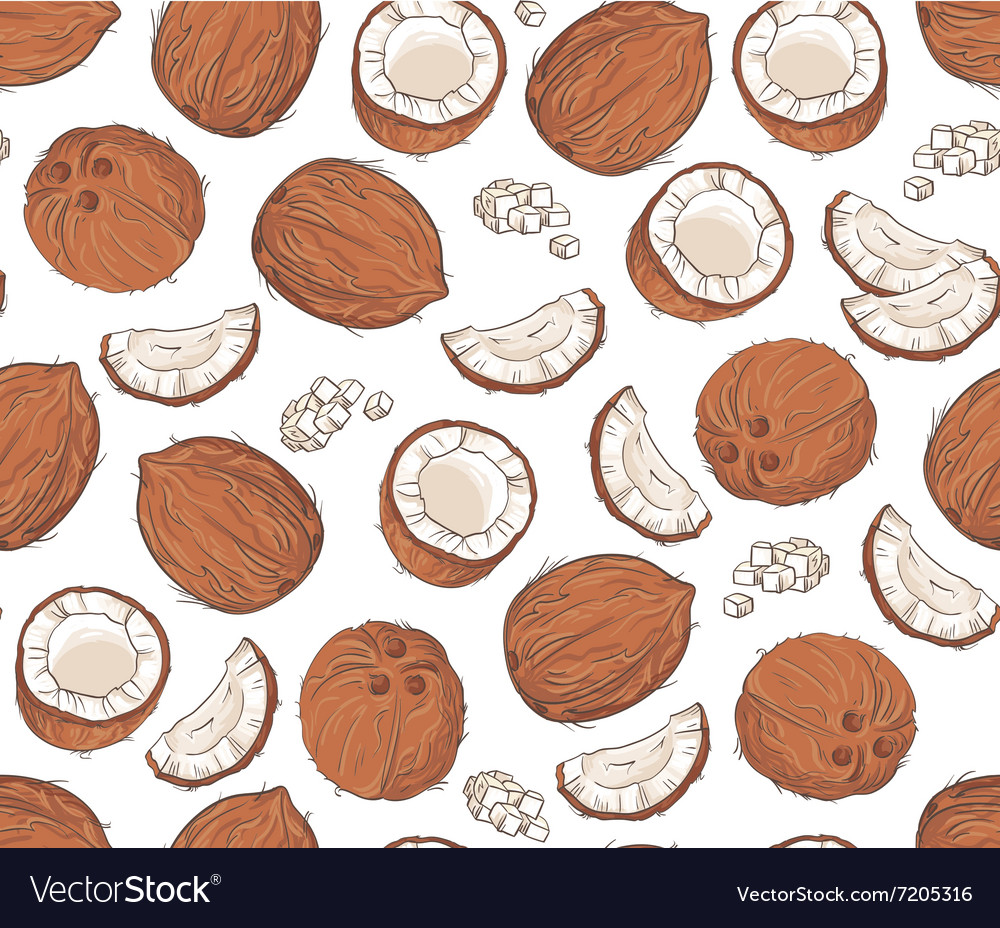 Hand drawn seamless pattern with coconuts Vector Image
