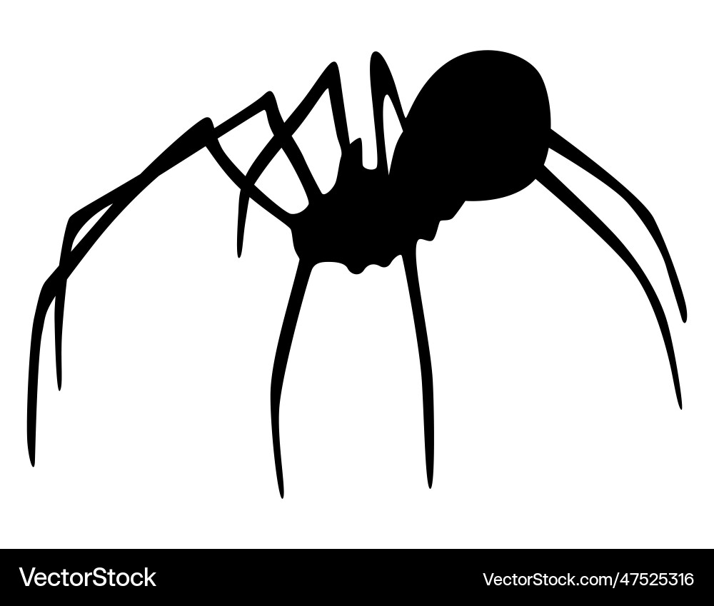Spider silhouette black close-up insect scary Vector Image